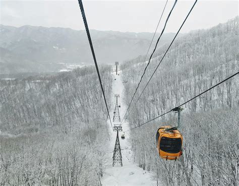 Hakuba Platinum