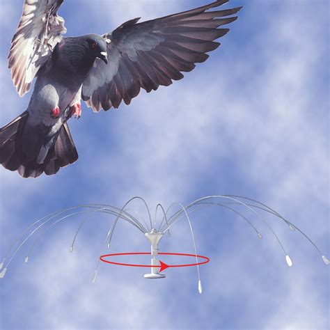 Bird Deterrent Spiders 360° Bird Scarer Daddi Long Legs