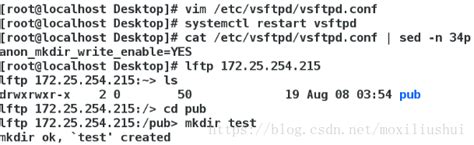 linux系统中的ftp服务 moxiliushui的博客 csdn博客
