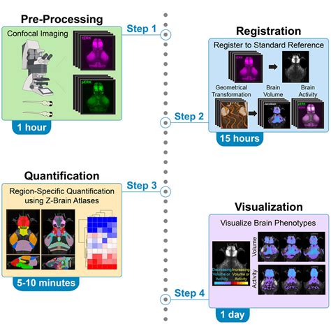Cell Press Star Protocols