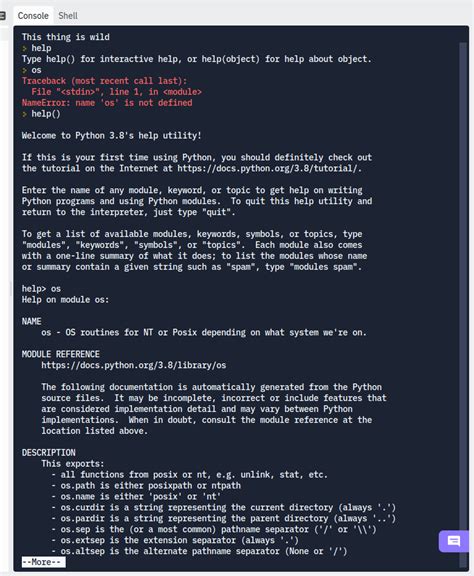 how does the repl it interactive terminal work r webdev
