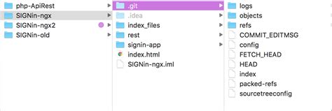 Git Cant Commit Angular Folder On My Project With Intellij Or
