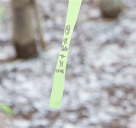 Industry Benefits From Aggregating Insights Good Fruit Grower