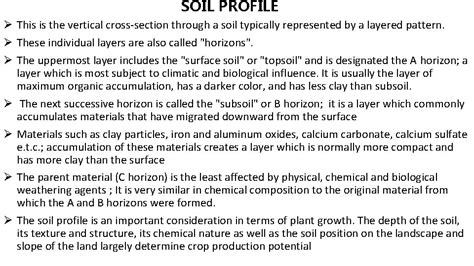 SOIL PROFILE This Is The Vertical Crosssection Through