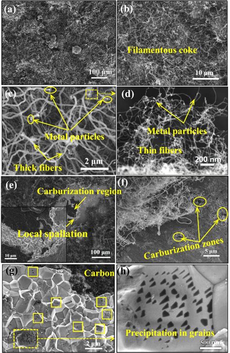 Surface Morphology Of The Ni Al Coating After Reaction In Varying