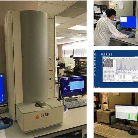 Microbial Identification By Maldi Tof Ms In The Clinical Laboratory