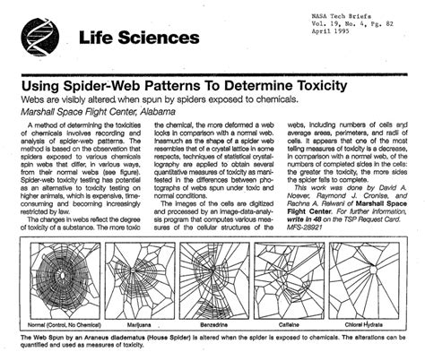 Spiders On Different Drugs Spin Different Types Of Web Patterns Core77
