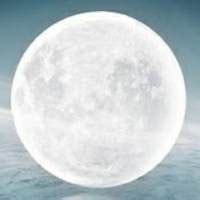 Vscode Python Runcode Python Code Runner Csdn