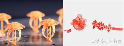 细节精湛：高精度、高表现的红蜡材料成品效果 知乎