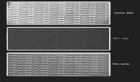 Fringe Pattern For White Red And Green Light Source Obtained For Download Scientific Diagram