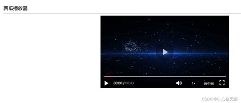 vue 使用xgplayer 西瓜播放器 插件教程 c 心欲无痕的博客 csdn博客 xgplayer