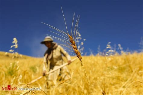 ۸۰ درصد قربانیان تغییرات اقلیمی را زنان تشکیل می‌دهند تغییر اقلیم چه