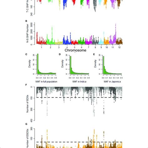 summary of non synonymous snps detected in the full population and