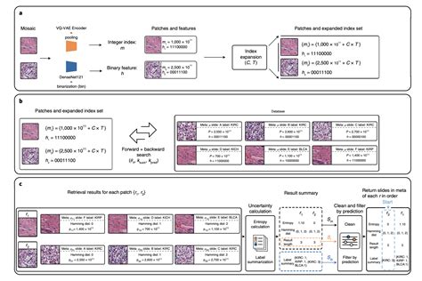 Harvard Researchers Propose A Self Supervised Deep Learning Algorithm