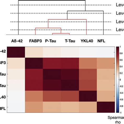 Correlations And Hierarchical Clustering Of Csf Biomarkers