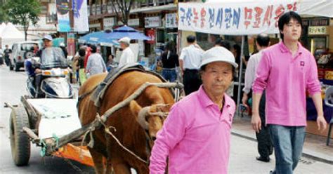 전주 도심속 소 달구지
