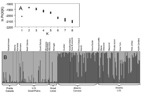 Analysis In The Program Structure Of Microsatellite Data For Piping