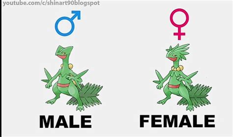 Pin De The Wolf Em Pokemon Pictures