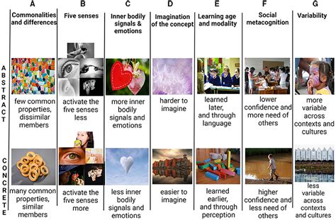 Abstract Subcategory Fantasy How Do We Learn And Why Do We Use