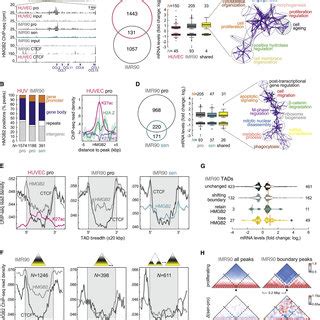 HMGB Chromatin Binding Properties A HMGB ChIP Seq From Download Scientific Diagram