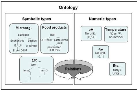 figure 1 from flexible querying of web data to simulate bacterial