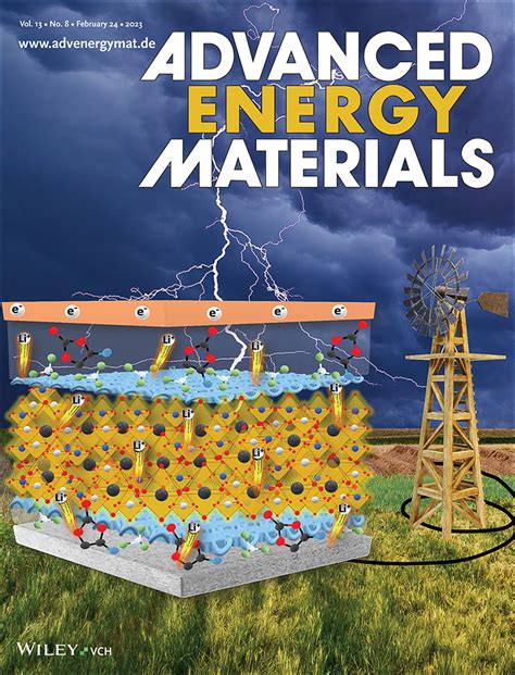 Synergistic Approach Toward Developing Highly Compatible Garnet‐liquid