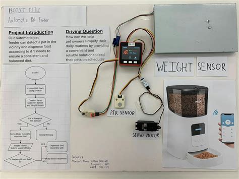 Automated Pet Feeder Automated Pet Feeder