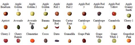 Sample Pictures From Fruit Dataset 14 Download Scientific Diagram
