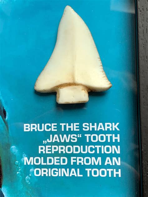 Jaws Replica Of An Original Shark Tooth From The Film In 3d Object