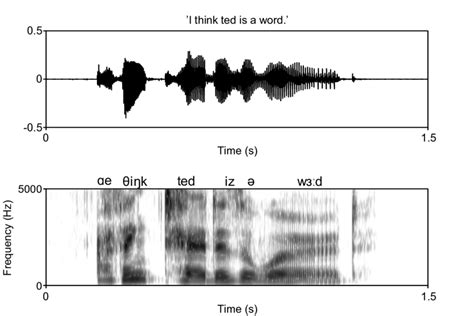 1 1 Waveform Spectrogram And Phonemic Transcription Of One Production