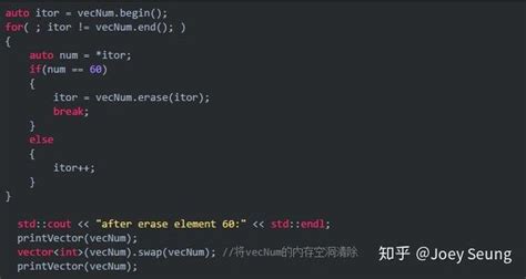 Vector C 初始化c Vector 使用注意事项 Csdn博客