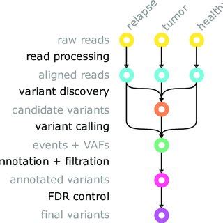 19 Schematic Representation Of Applied Genomic Variant Calling Download Scientific Diagram