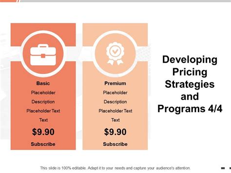 Developing Pricing Strategies And Programs Premium Ppt Powerpoint Presentation Tips