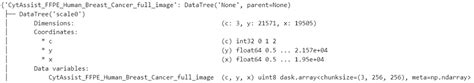 get extent switches x and y · issue 335 · scverse spatialdata · github
