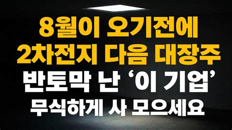 주식 8월이 오기전에 2차전지 다음 대장주 반토막 난 이 기업 무식하게 사 모으세요 저평가대장주 에코프로비엠 포스코홀딩스 주식전망 8월주식전망 Youtube
