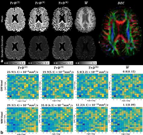 Numerical Simulation Of Rotation Invariance Of Tissue Parameters Trd