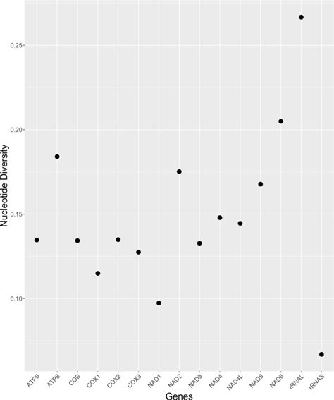 Nucleotide Diversity Per Mitochondrial Protein Coding And Rrna Genes