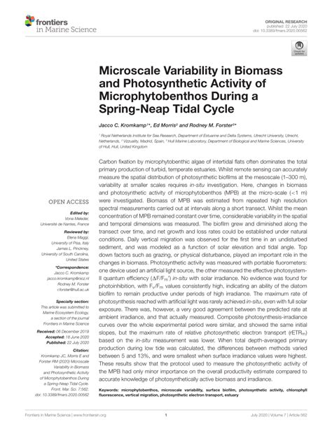 Pdf Microscale Variability In Biomass And Photosynthetic Activity Of Microphytobenthos During