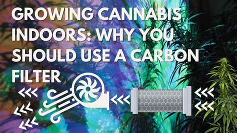 Growing Cannabis Indoors Why You Should Use A Carbon Filter R