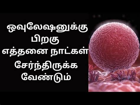 How To Calculate Ovulation Date In Tamil Ovulation Symptoms Ovulation Cycle Ovulation