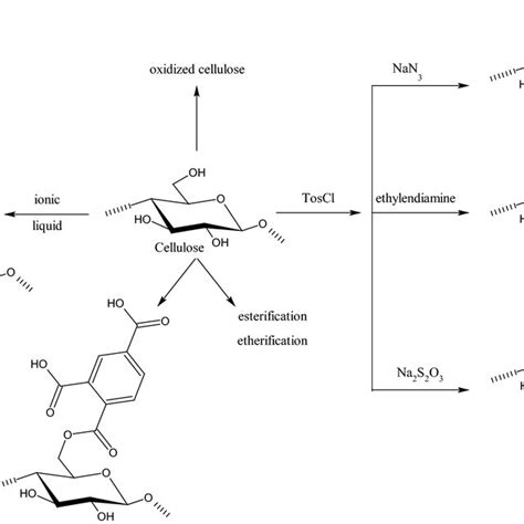 Cellulose Chemical Modification Routes Adapted De Oliveira Santos Et