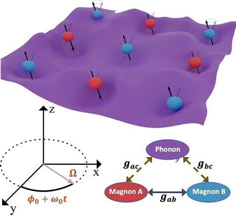 Schematic Illustration Of Bipartite Collective Spin Waves In An