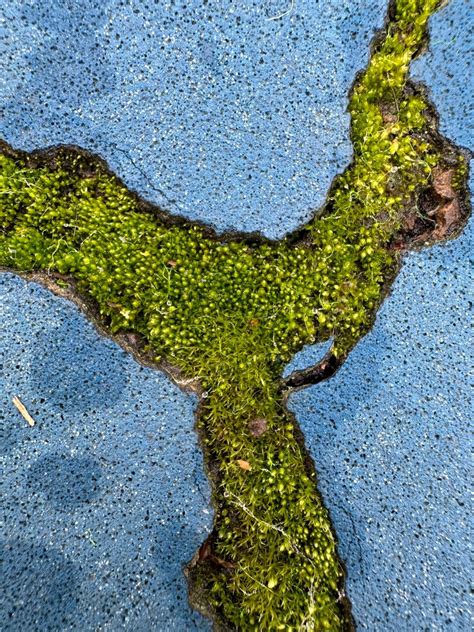 Ajay Naik On Linkedin Wanting To Do More Corporate Head Shots And General Media Here Are Some