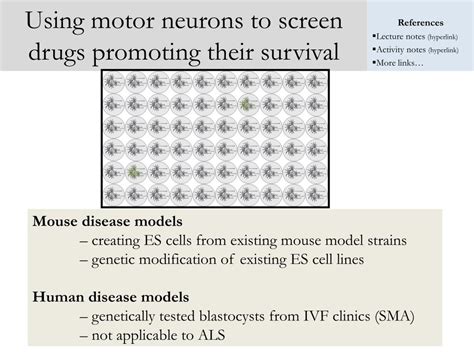 Ppt Directed Differentiation Of Es Cells Into Ectoderm Powerpoint Presentation Id 6574491