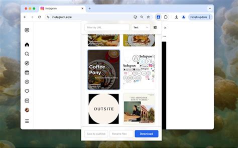 Bulk: Image Downloader para Google Chrome - Extensión Descargar