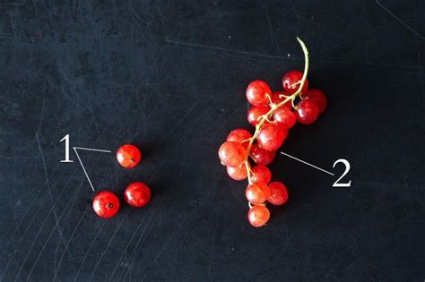 Red Currants Tiny Translucent Beauties