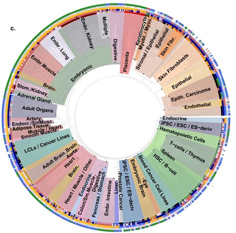 Nature｜基于人类表观基因组图谱epimap，广泛揭示人类疾病位点调控回路 增强子