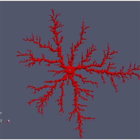 Wormhole Network Obtained By Simulating Acid Injection From A Wellbore Download Scientific