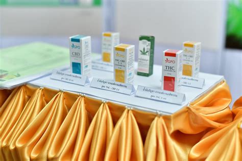 Photo Gallery วิจัยสารกัญชายับยั้ง เซลล์มะเร็งเต้านม ในหนูได้ดี จ่อดัน Cbd สูงเข้าบัญชียาหลักฯ