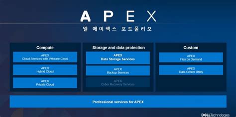 델 테크놀로지스 ‘에이펙스 데이터 스토리지 서비스 한국 출시 인프라 관리를 델이 전담하는 서비스형 It로 사용자 경험 혁신